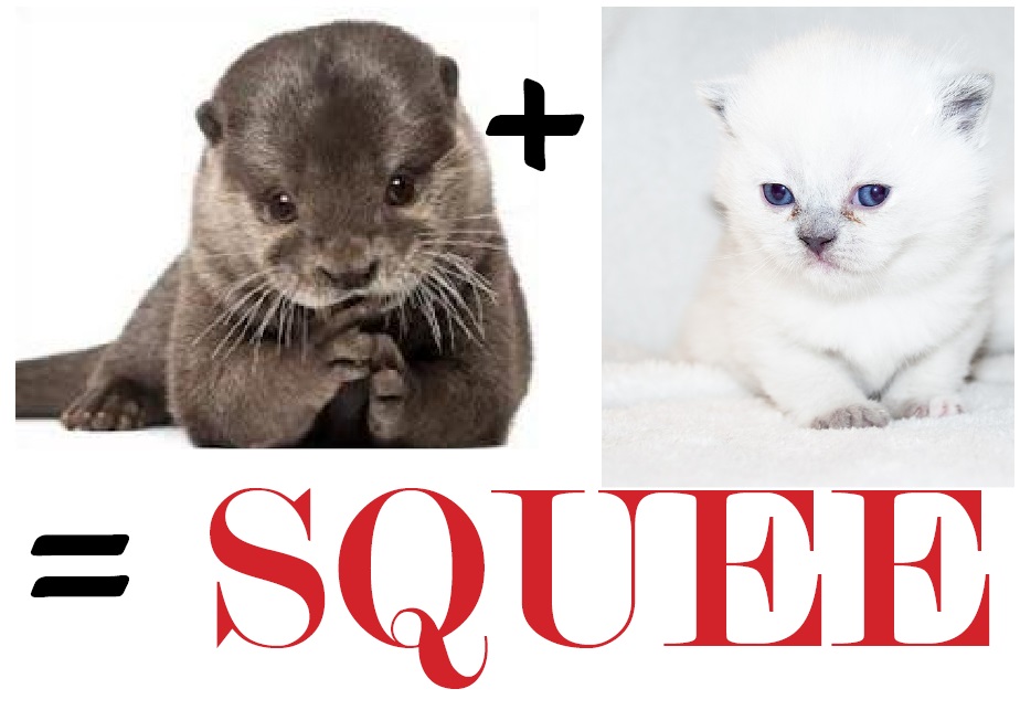 SHORT FICTION – Finding the Squee Spot – Patrick Whitehurst