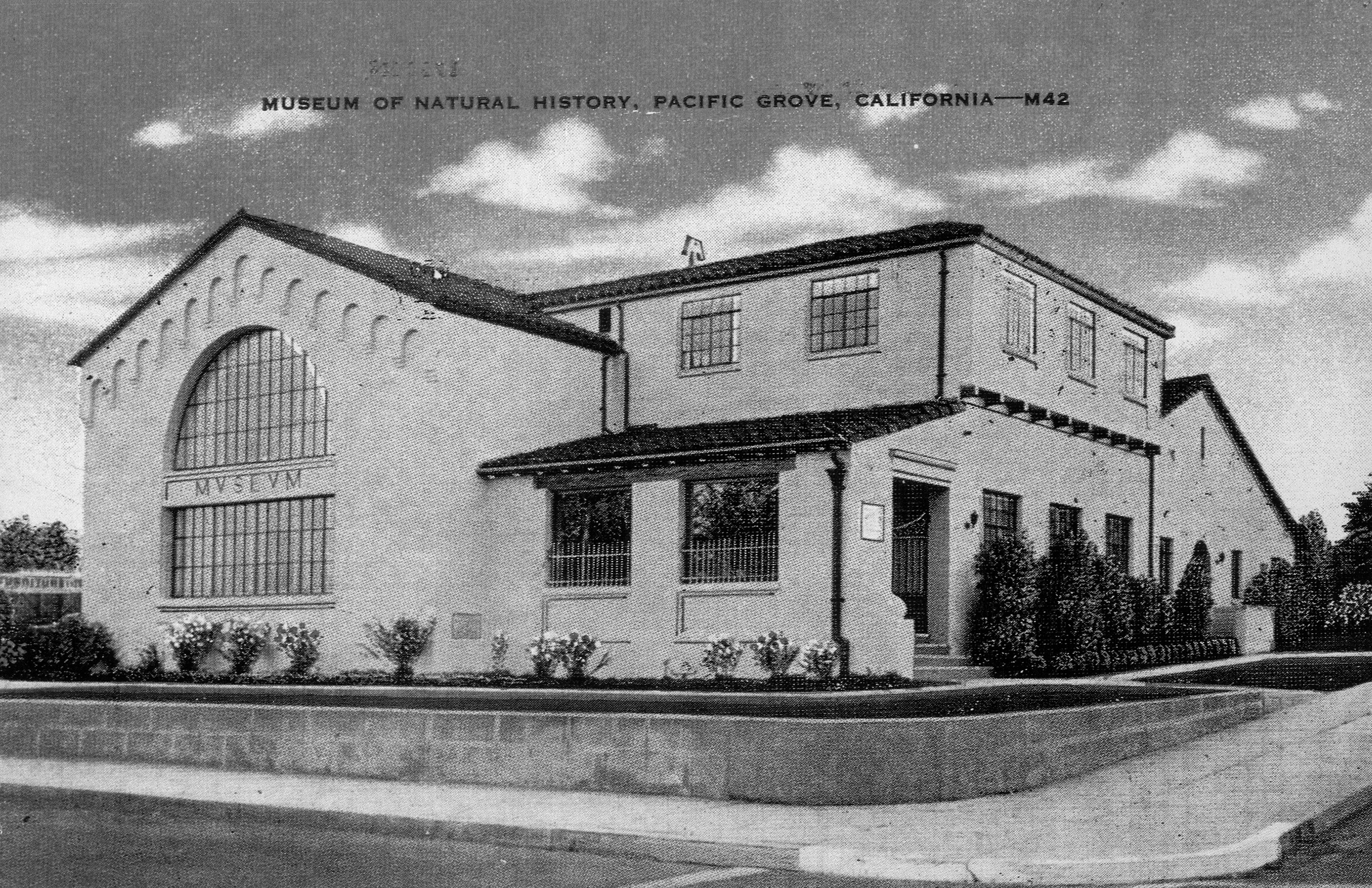 COMING IN 2018: The Pacific Grove Museum of Natural History – Patrick ...
